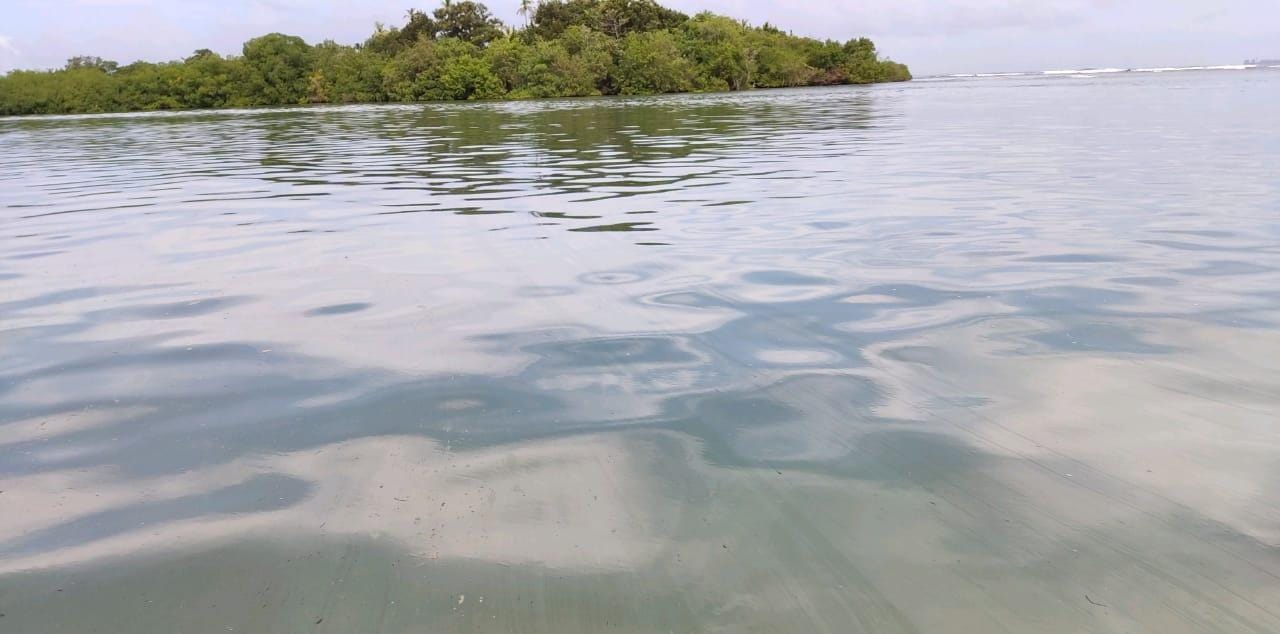 Autoridades atienden denuncia por contaminación en playa Samba Bonita ...
