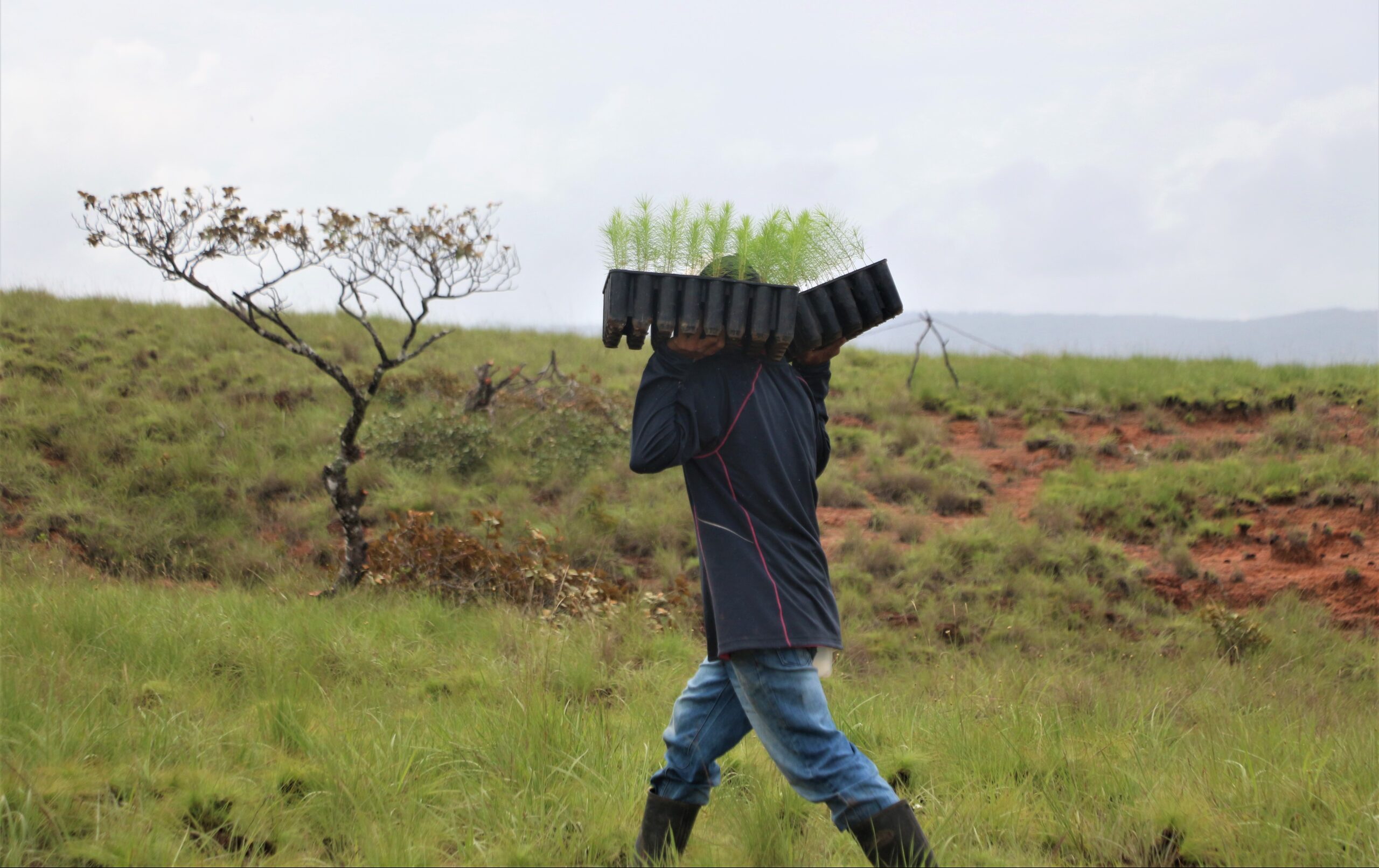 Comunidades rurales de Panamá sientan las bases para un nuevo corredor ...