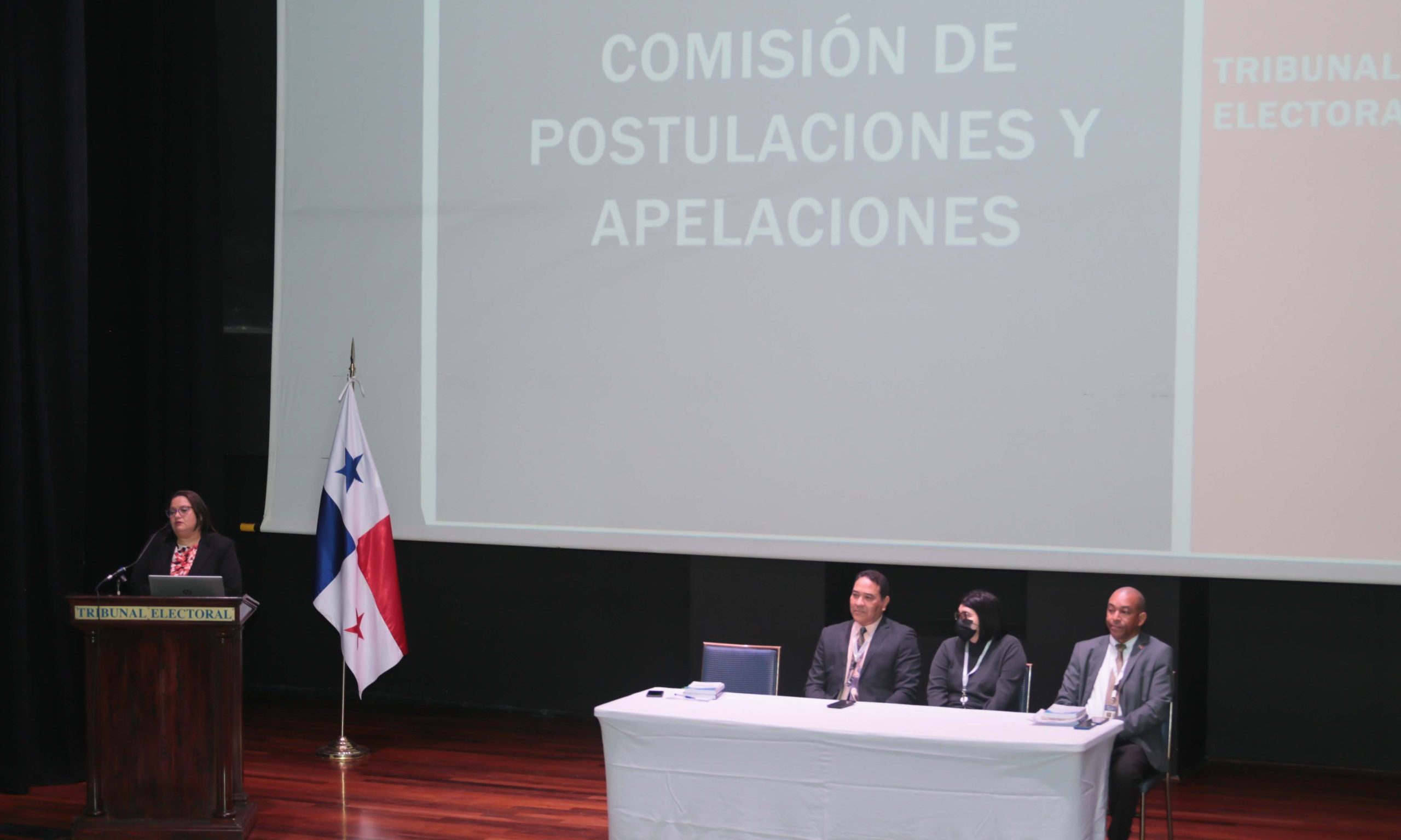 Tribunal Electoral capacita a miembros del partido Realizando Metas ...