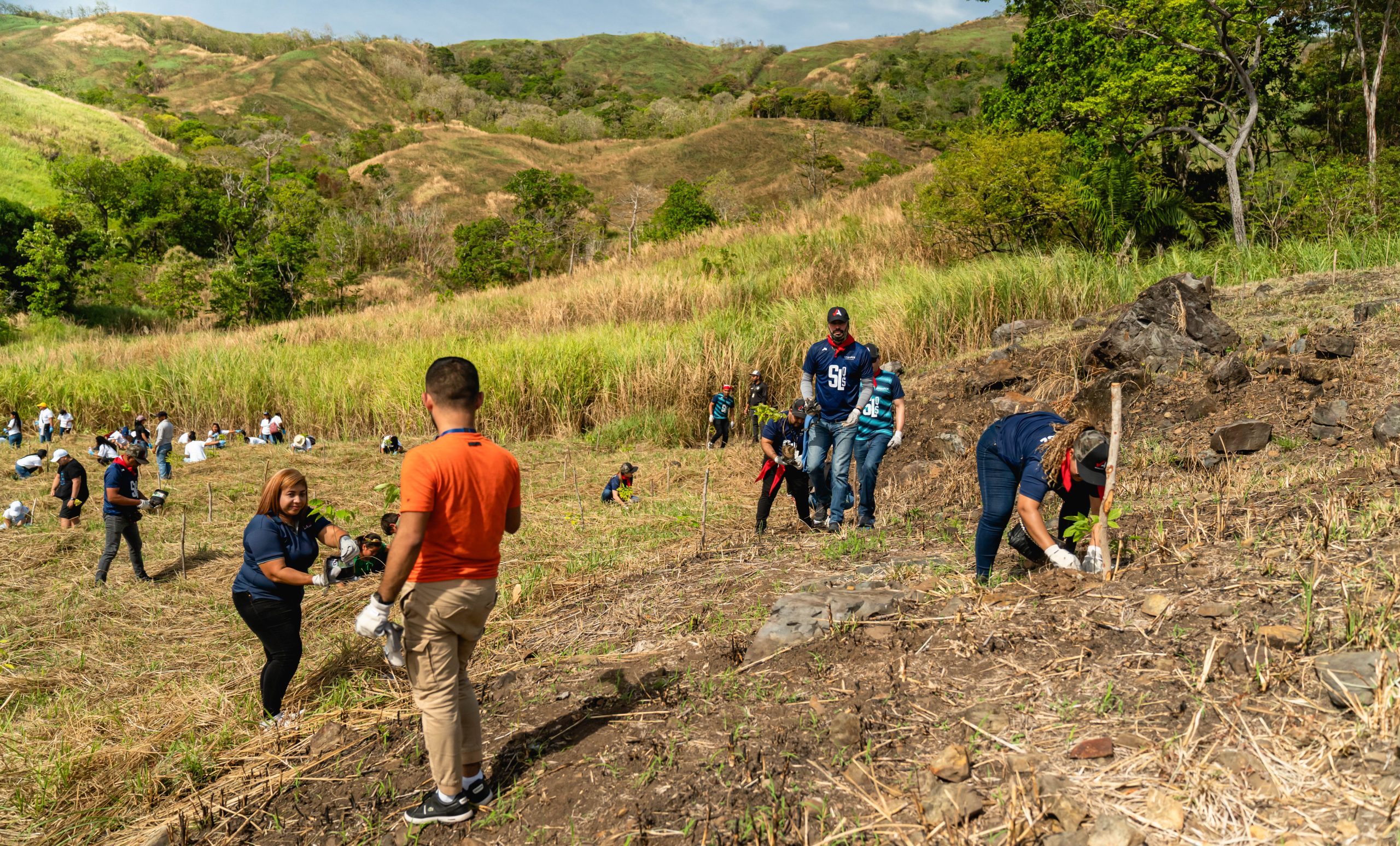 En Cobre Panamá celebran el Día de la Tierra con reforestaciones en ...