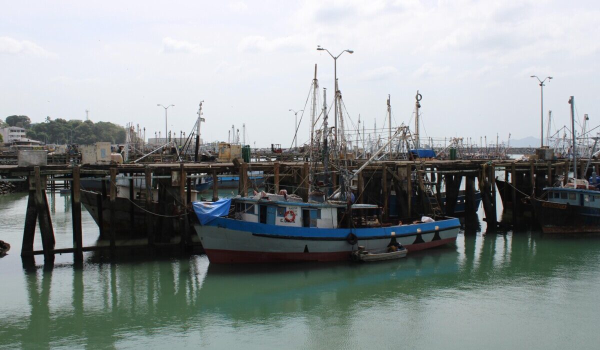 Autoridades realizan inspección a la infraestructura del Puerto de ...